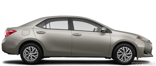 Long term or Monthly car rental in Miami | CarForLong